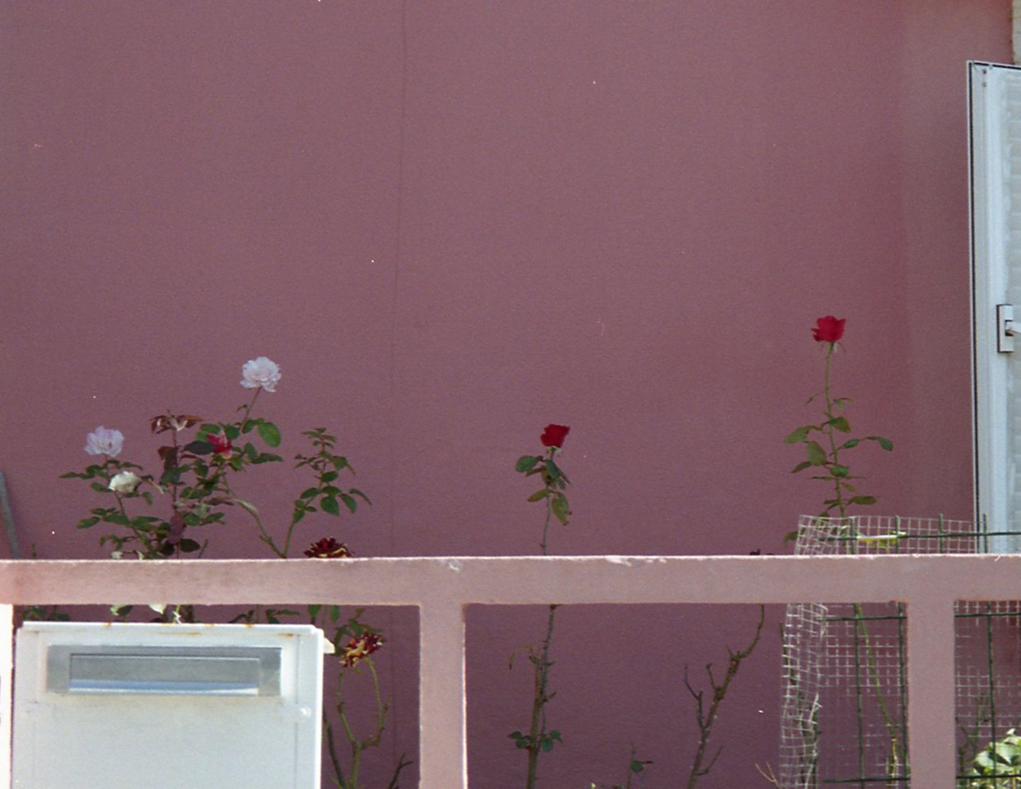 Hello 2025 – Yllin